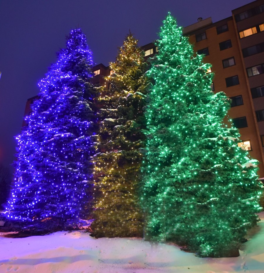 Christmas Décor of Ottawa | Image Gallery